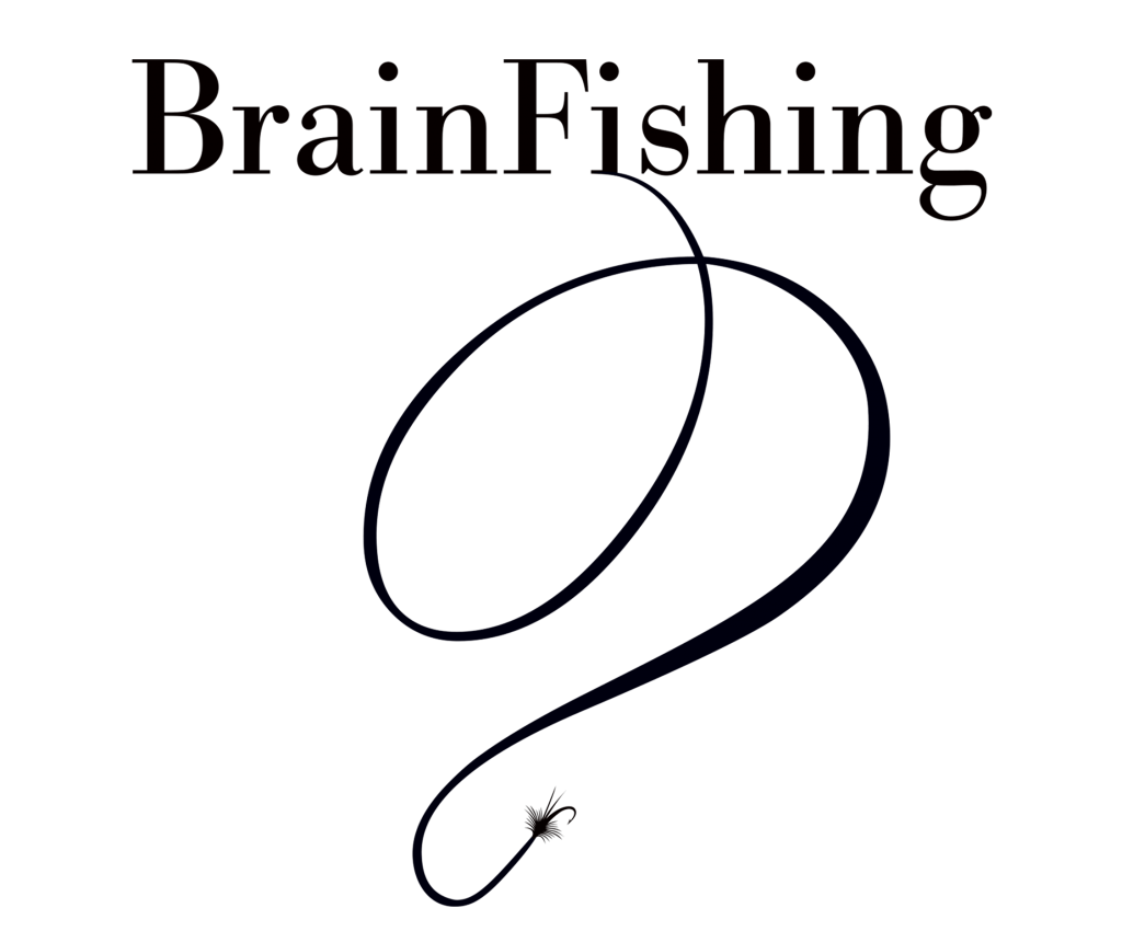 BrainFishing | The perfect book for anyone who needs to influence people